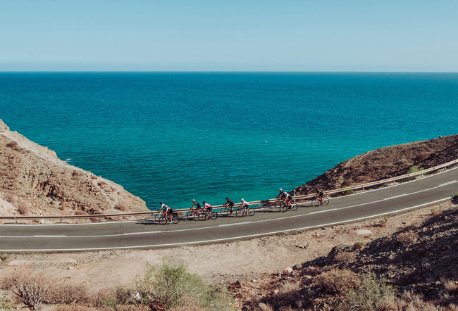 Road bikes, MTB, e-bikes – Free Motion Bikecenter | Online Bike Shop