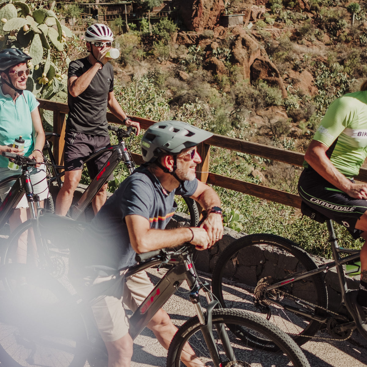 Road bikes, MTB, e-bikes – Free Motion Bikecenter | Bike Shop